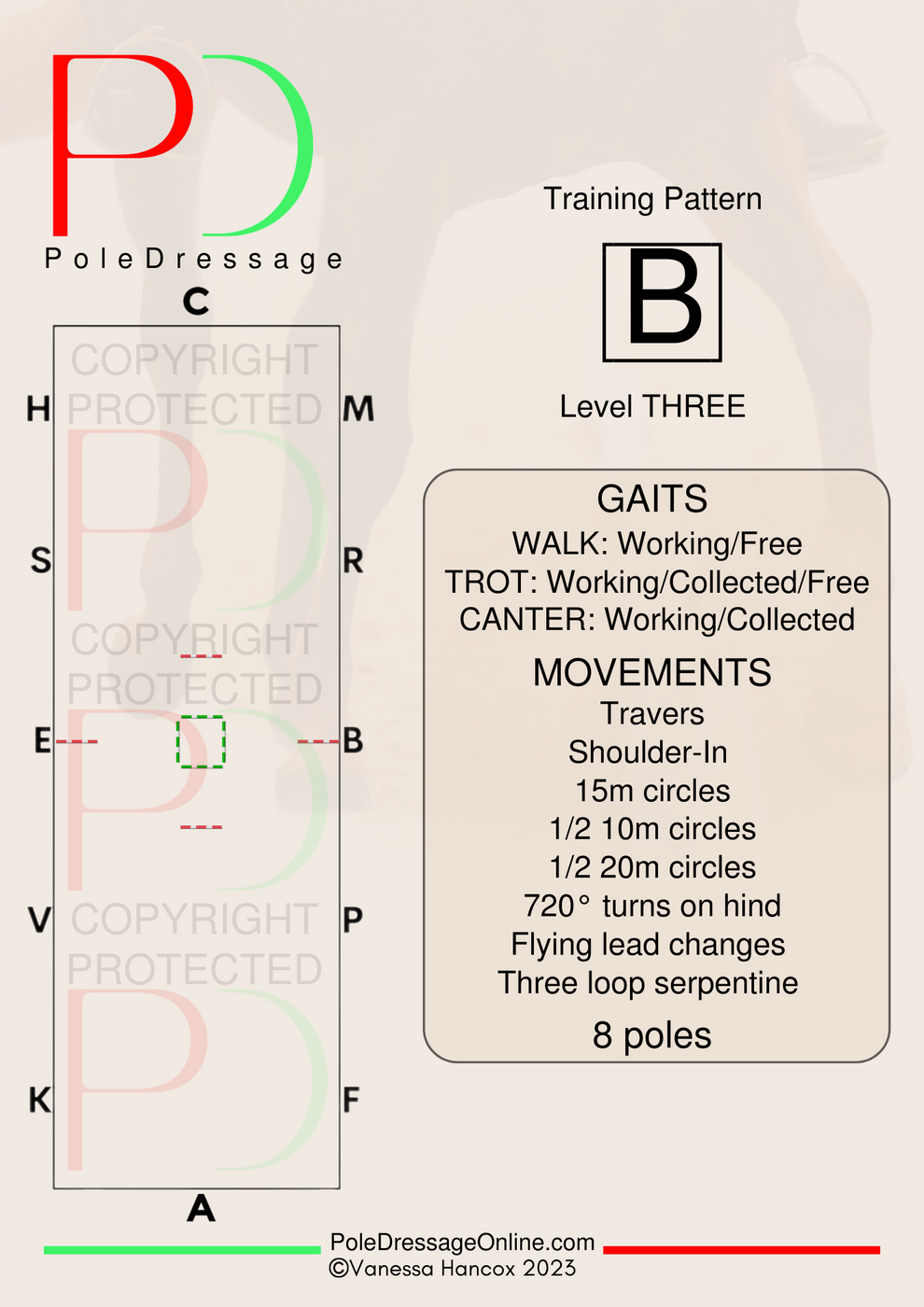 Level 3 B 8 Poles Training Pattern Pole Dressage – Pole Dressage Online